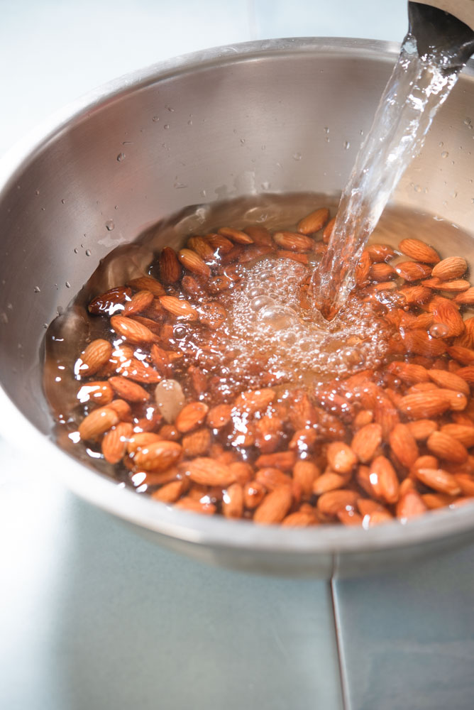 Extra Rich Homemade Almond Milk | The Frayed Apron